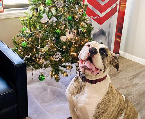 Gallery - Maple City Automotive